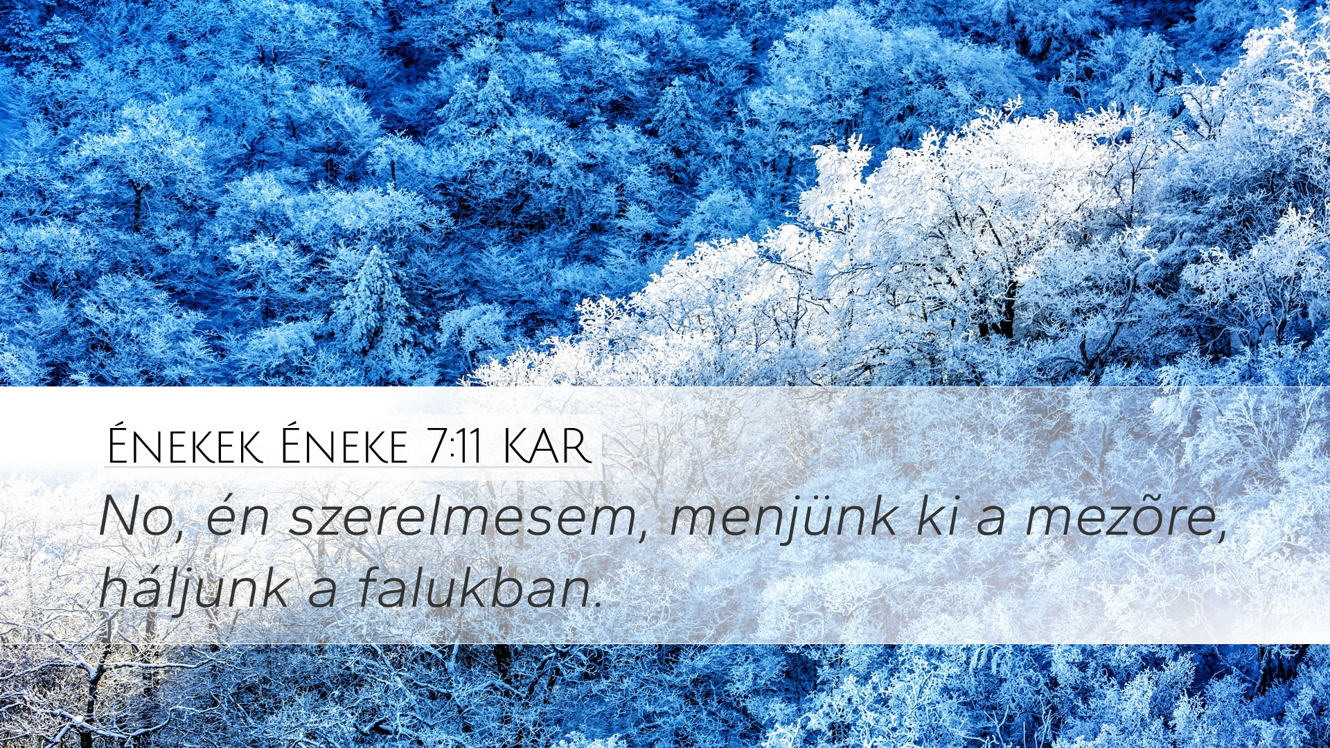 Énekek Éneke 7:11 KAR Desktop Wallpaper - No, én szerelmesem, menjünk ...