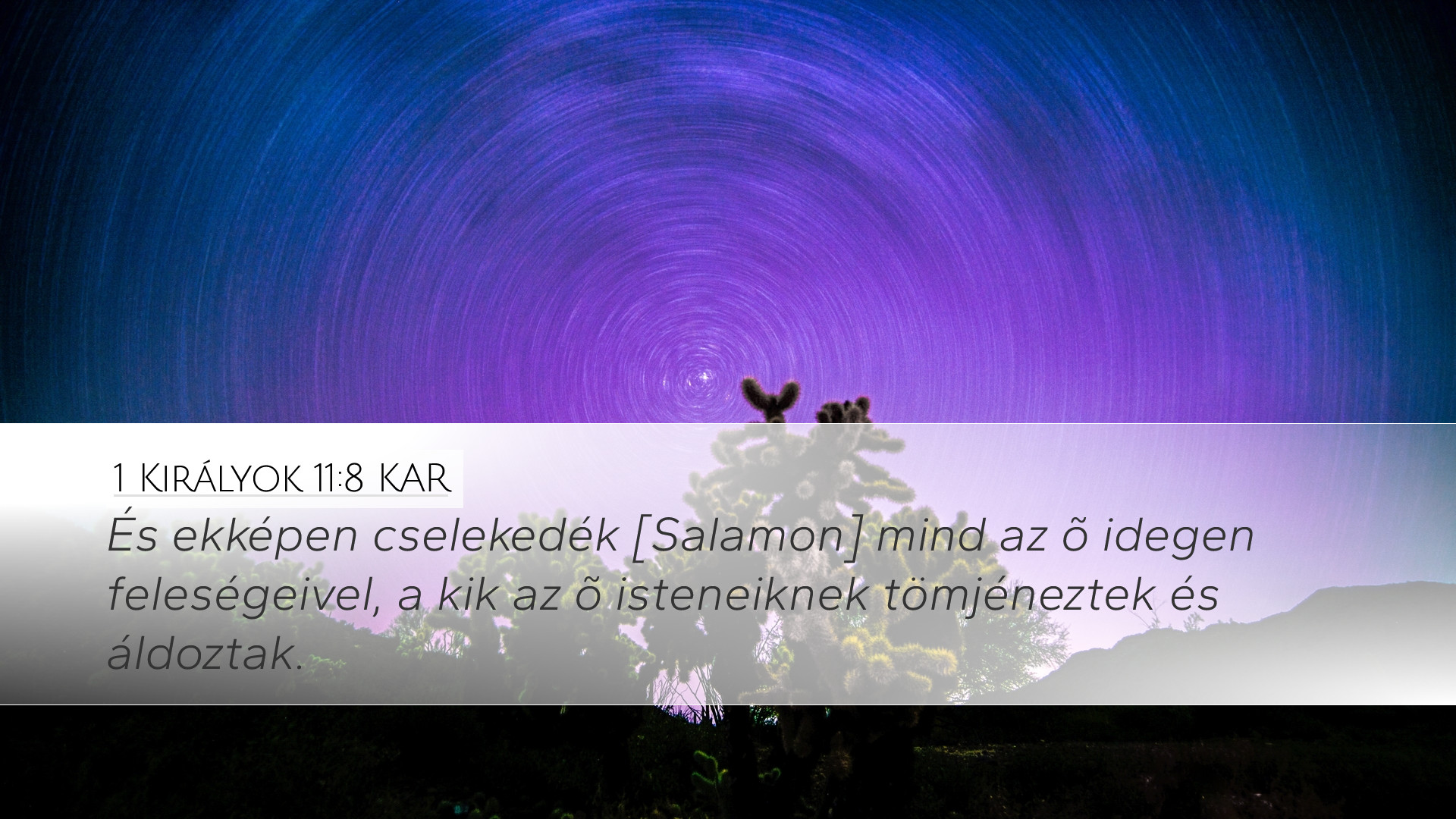 1 Királyok 11:8 KAR Desktop Wallpaper - És ekképen cselekedék [Salamon ...