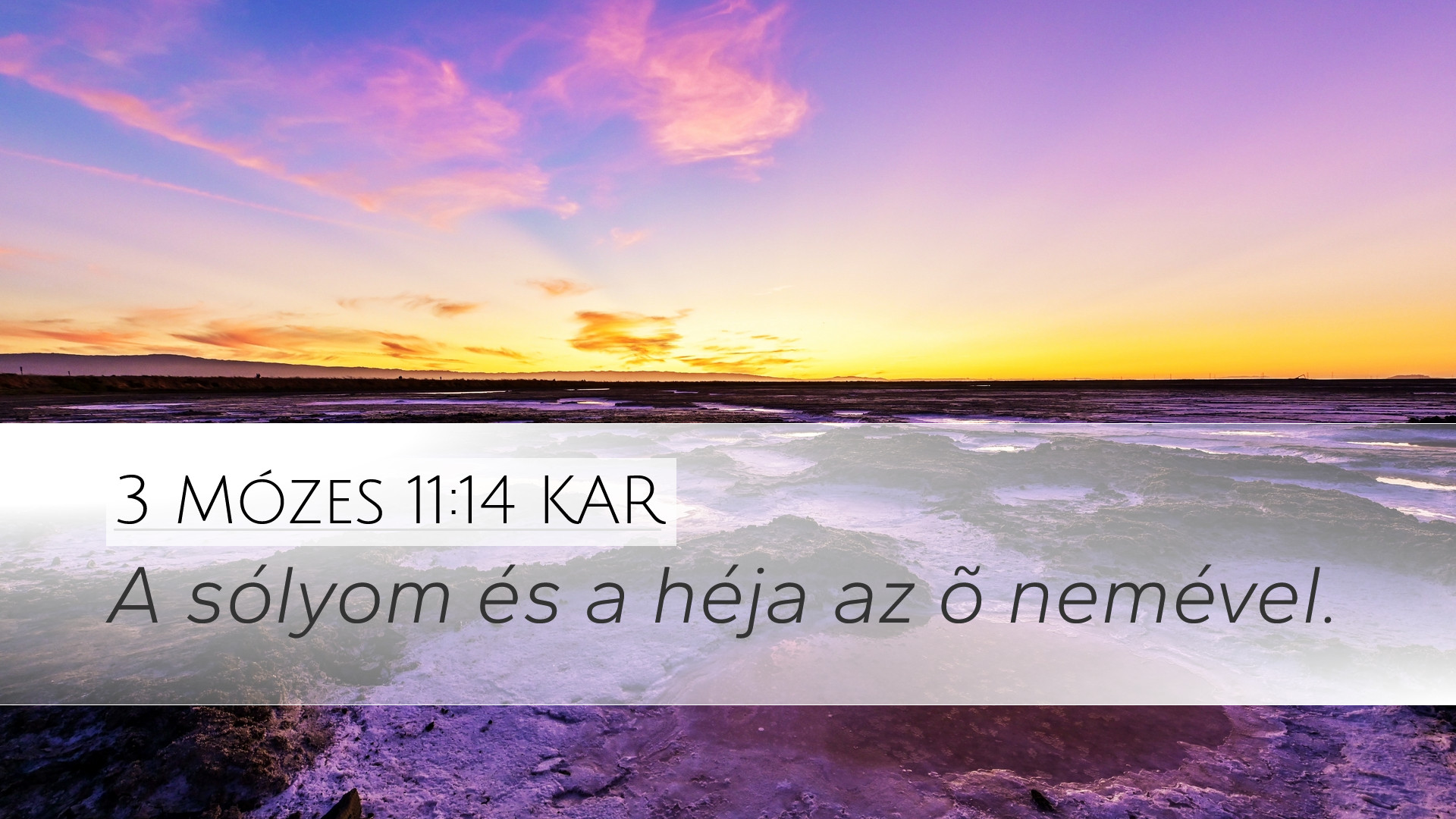 3 Mózes 11:14 KAR Desktop Wallpaper - A sólyom és a héja az õ