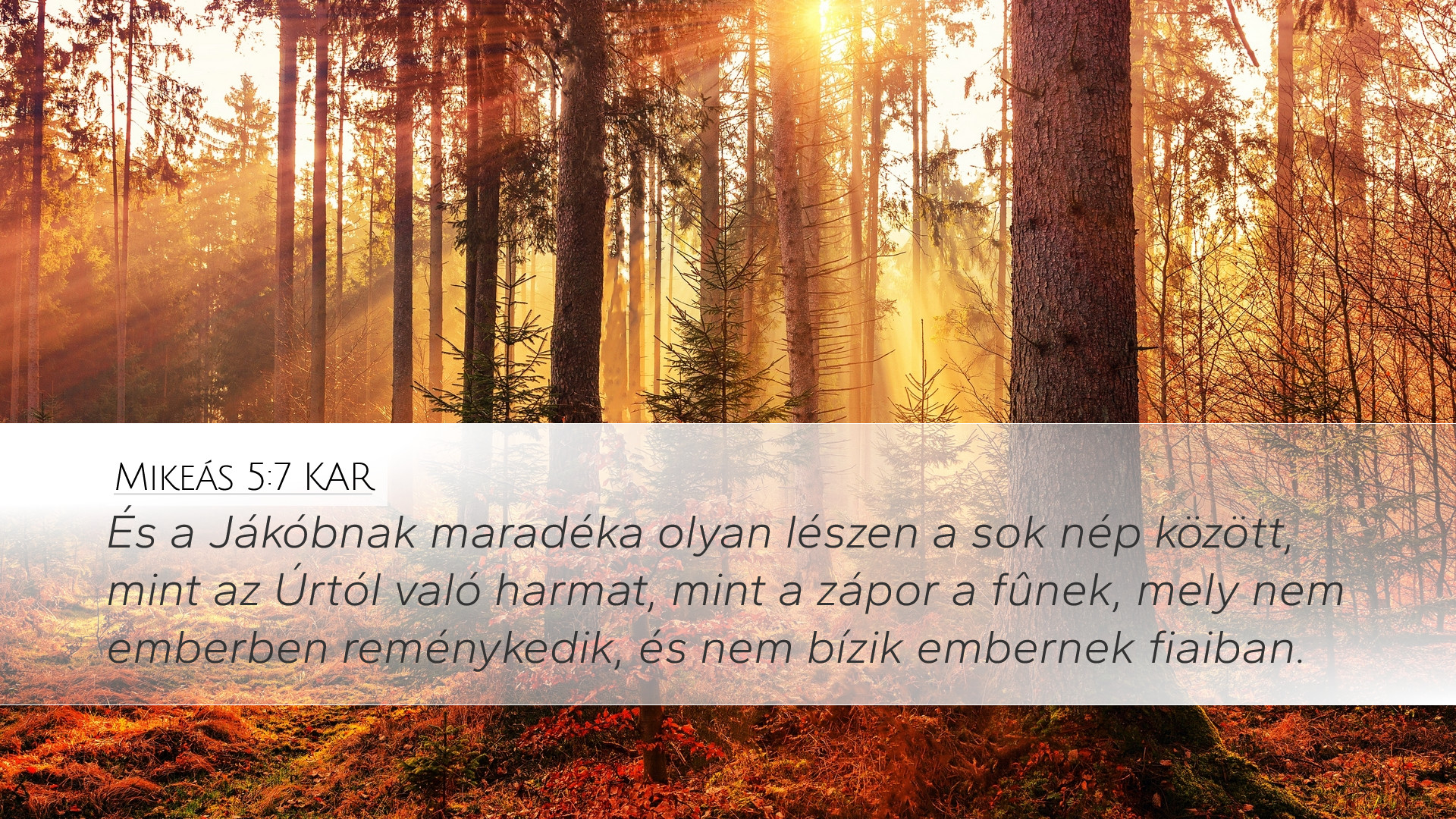 Mikeás 5:7 KAR Desktop Wallpaper - És a Jákóbnak maradéka olyan lészen ...