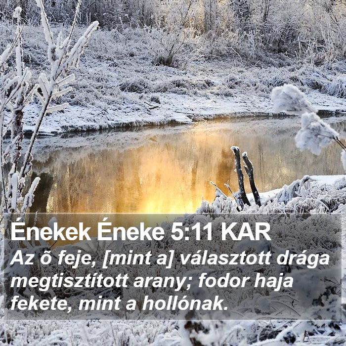 Énekek Éneke 5:11 KAR - Az õ feje, [mint a] választott drága