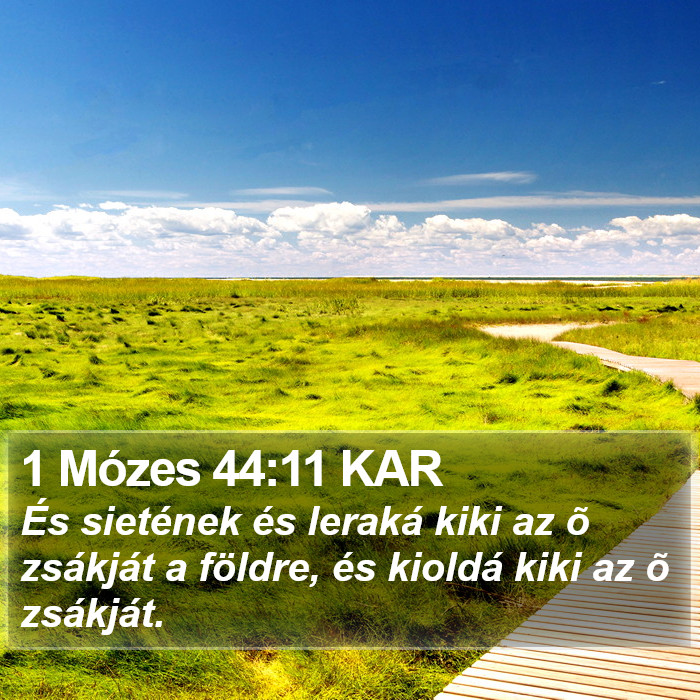 1 Mózes 44:11 KAR - És sietének és leraká kiki az õ zsákját a