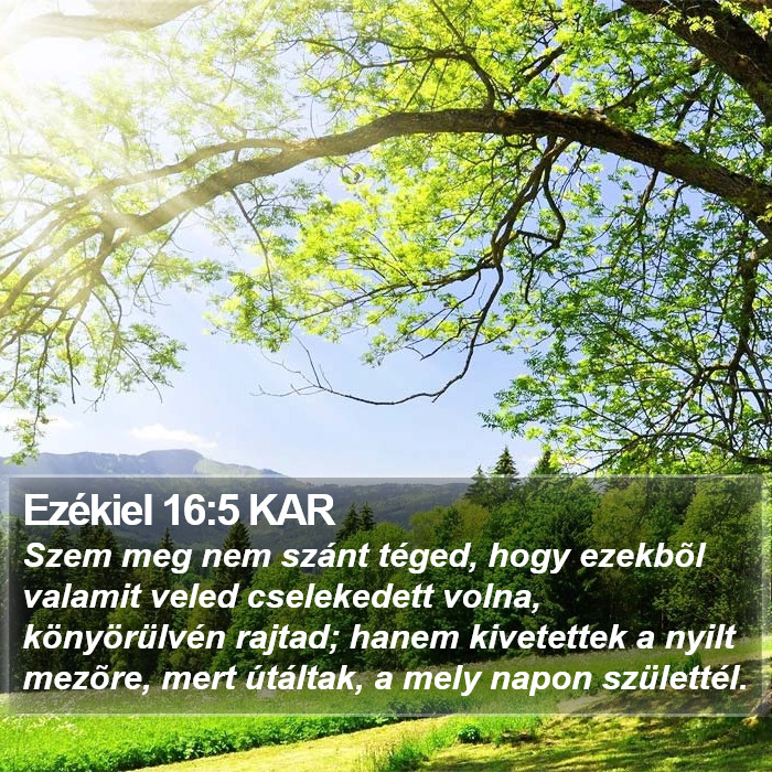 Ezékiel 16:5 KAR - Szem meg nem szánt téged, hogy ezekbõl valamit