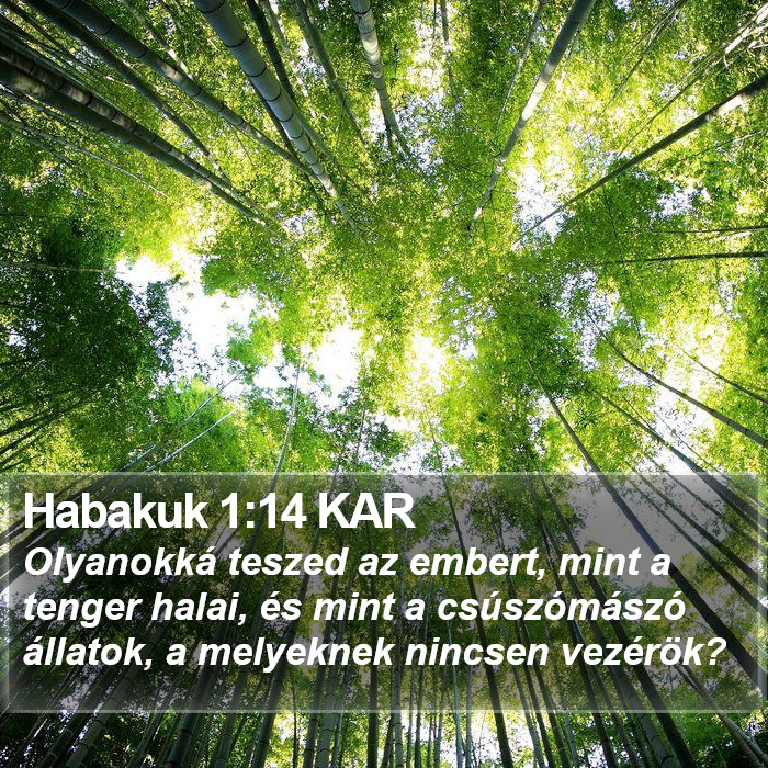 Habakuk 1:14 KAR - Olyanokká teszed az embert, mint a tenger halai,