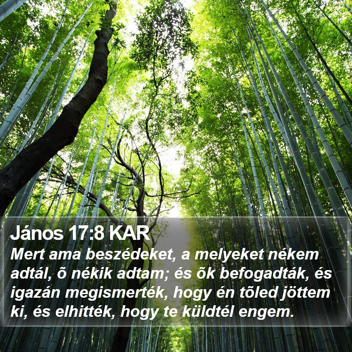 János 17:8 KAR - Mert ama beszédeket, a melyeket nékem adtál,