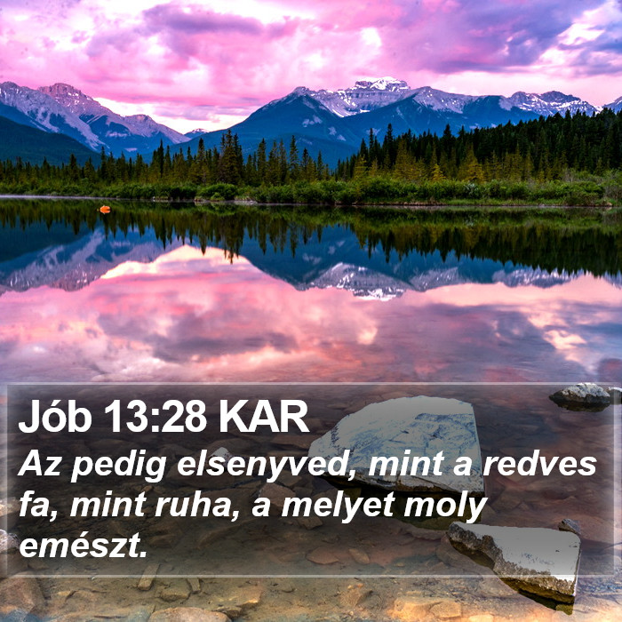 Jób 13 Bible Images - Jób Chapter 13 KAR Bible Verse Pictures