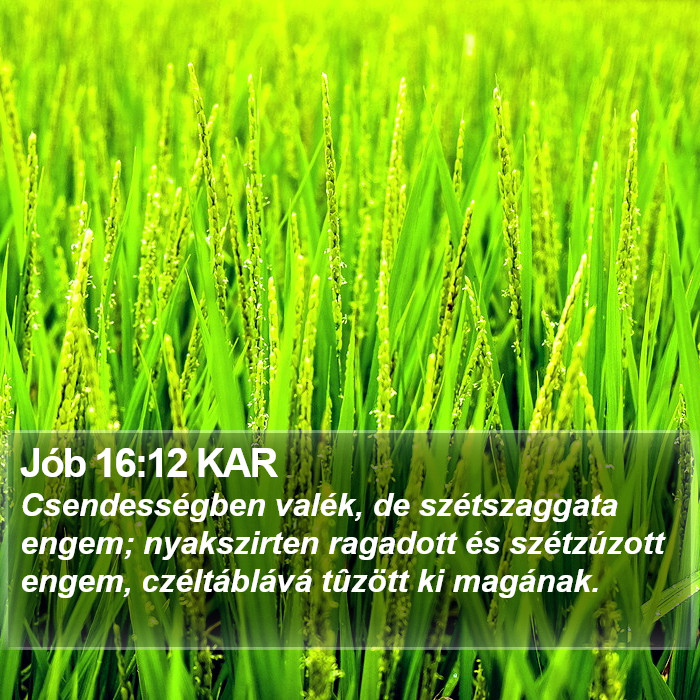 Jób 16:12 KAR - Csendességben valék, de szétszaggata engem;
