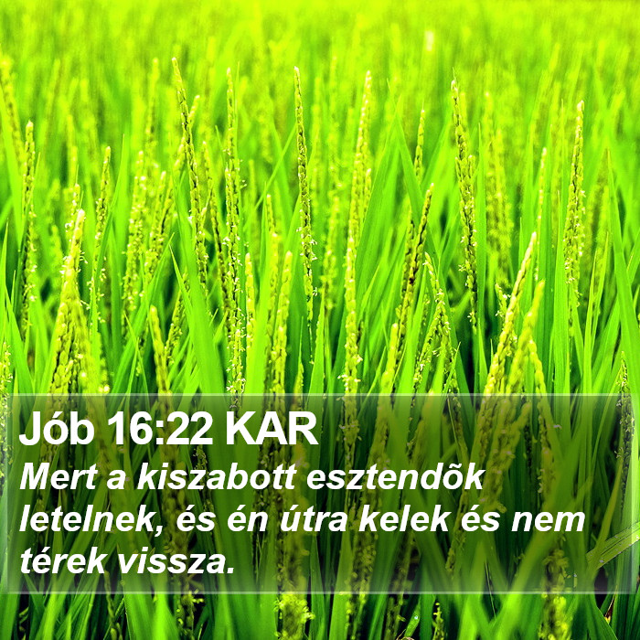 Jób 16:22 KAR - Mert a kiszabott esztendõk letelnek, és én