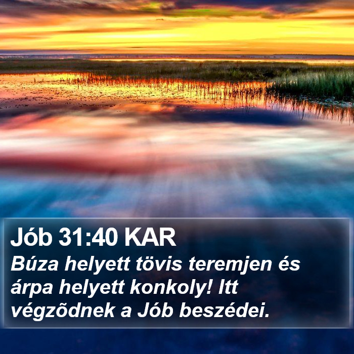 Jób 31 Bible Images - Jób Chapter 31 KAR Bible Verse Pictures