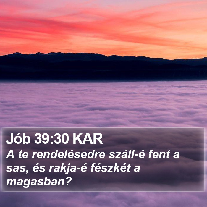 Jób 39 Bible Images - Jób Chapter 39 KAR Bible Verse Pictures