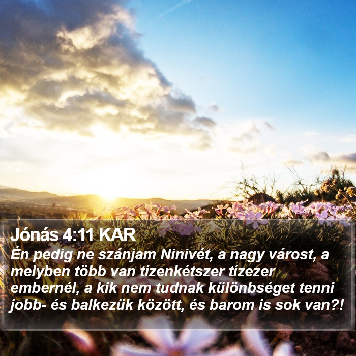 Jónás 4 Bible Images - Jónás Chapter 4 KAR Bible Verse Pictures