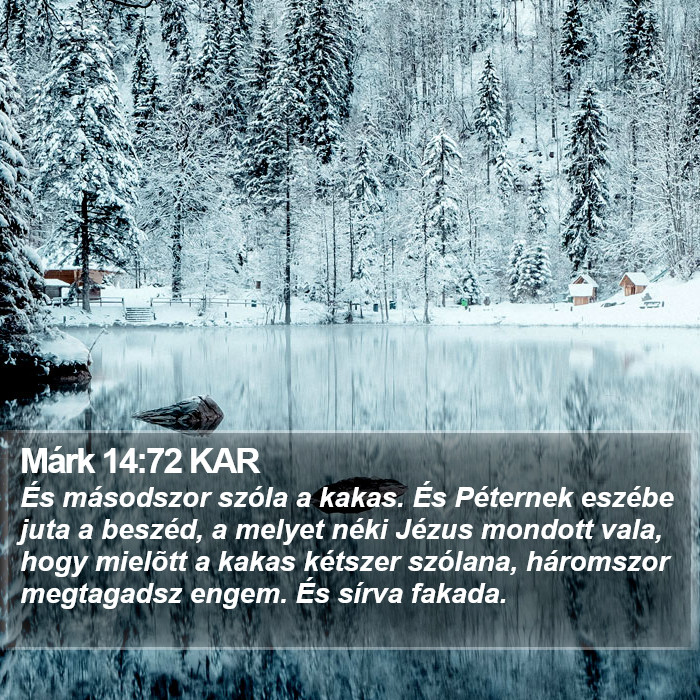 Márk 14 Bible Images - Márk Chapter 14 KAR Bible Verse Pictures