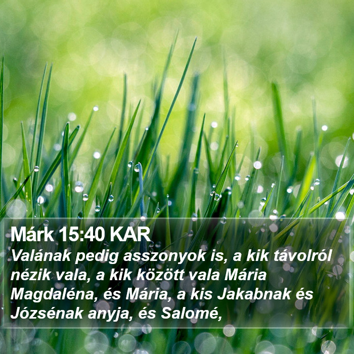 Márk 15:40 KAR - Valának pedig asszonyok is, a kik távolról