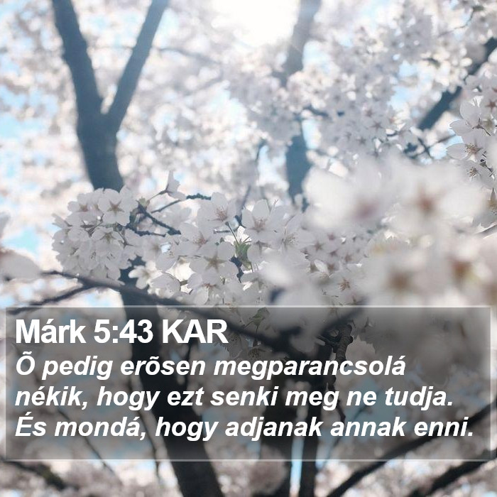 Márk 5 Bible Images - Márk Chapter 5 KAR Bible Verse Pictures