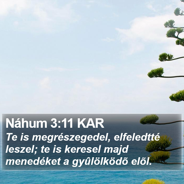 Náhum 3:11 KAR - Te is megrészegedel, elfeledtté leszel; te is